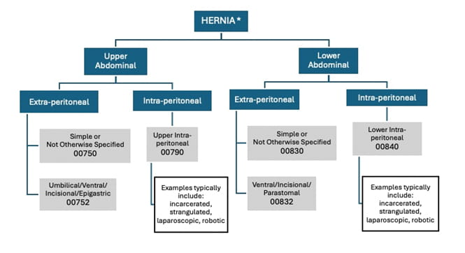 Updated Hernia Decision Tree by the ASA – Chart Talk: Anesthesia Coding ...